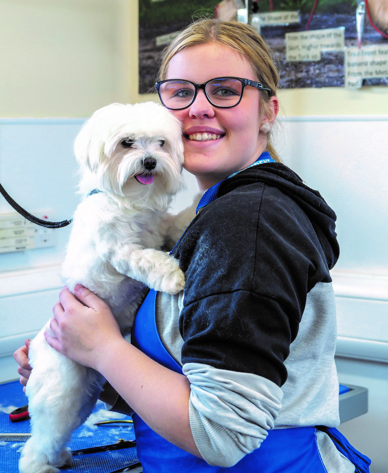 Niamh Acred - Dog Grooming Level 3 Part-time