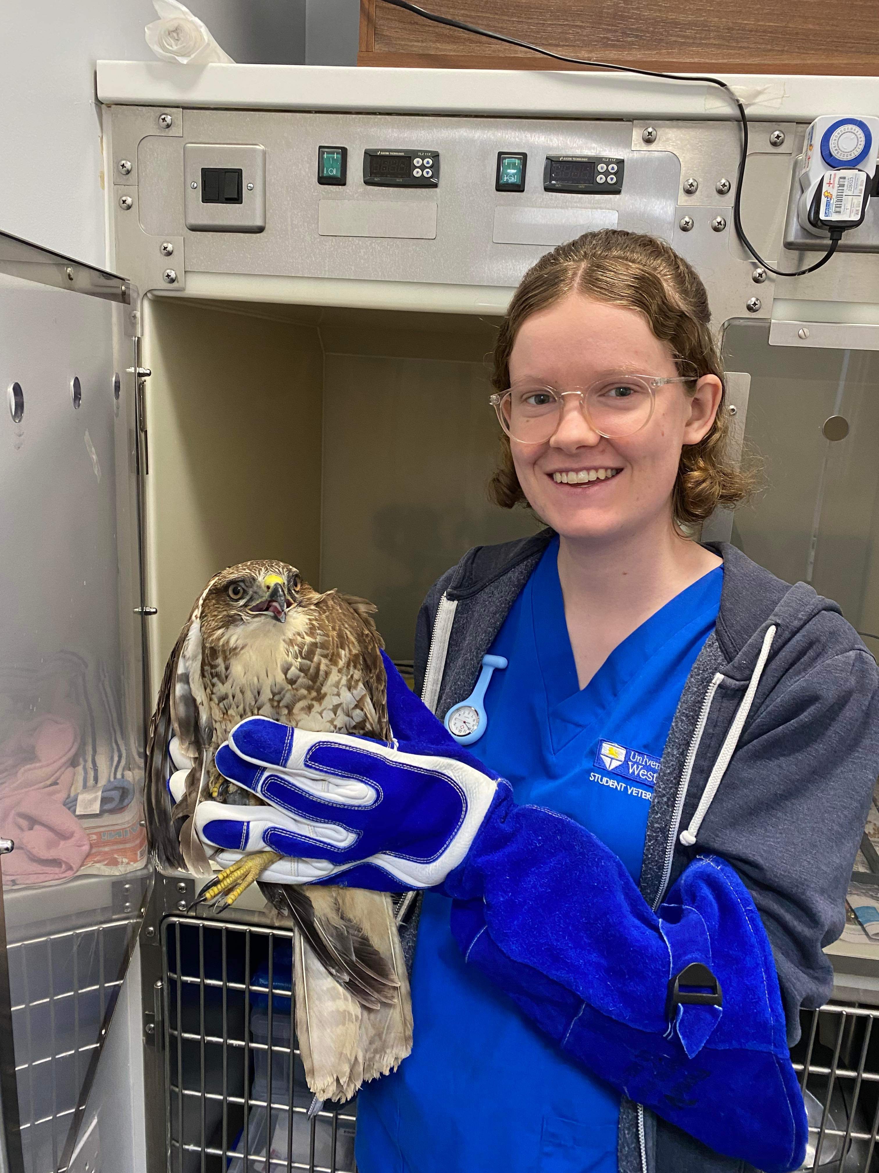 Clara Lyle - FdSc Veterinary Nursing and Applied Animal Behaviour